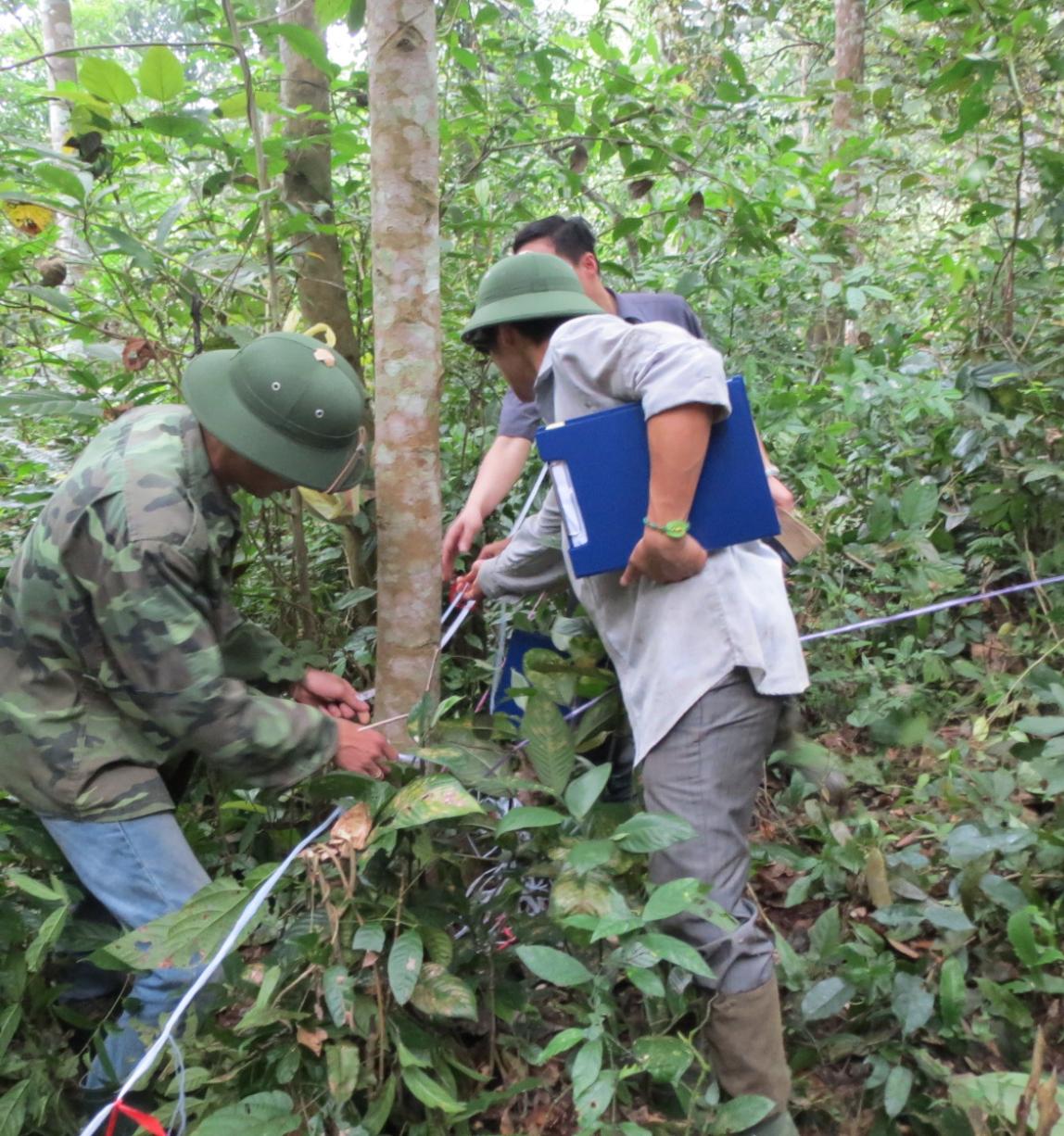 Update sobre os loops de verificação de transações do FSC e seu ...