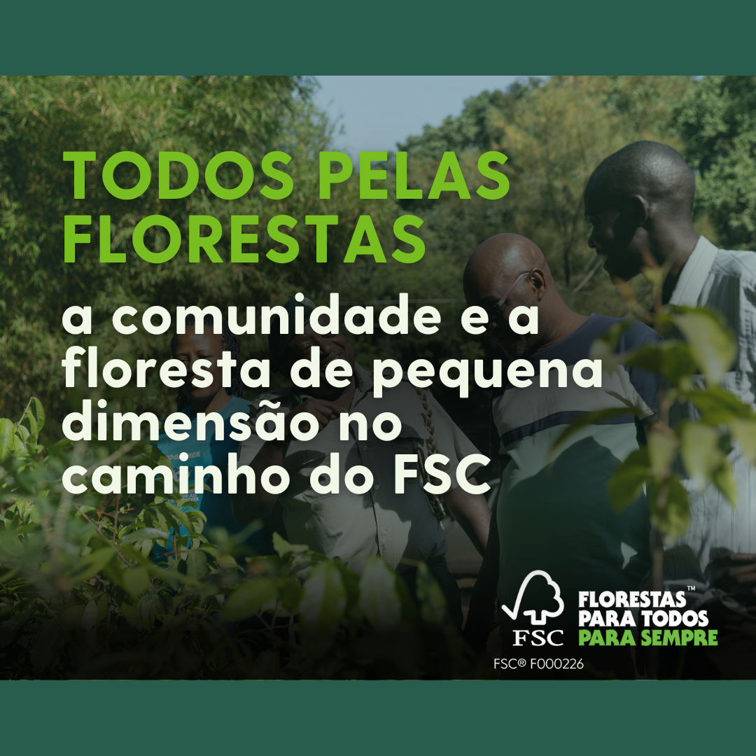 Todos pelas florestas: a comunidade e a floresta de pequena dimensão no ...