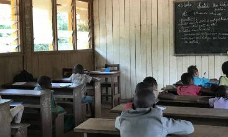 Como o Povo Indígena Baaka do Congo estão a salvar as florestas ...